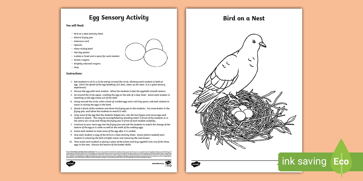 Eggs Sensory Activity