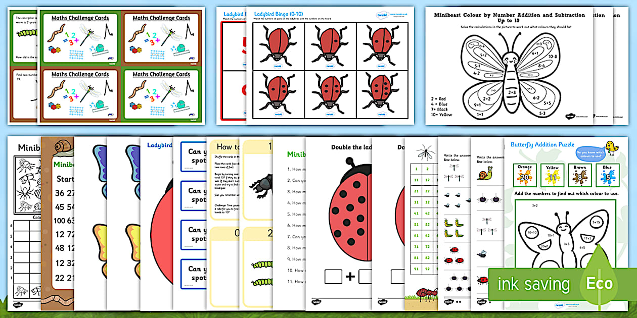 Minibeast Maths Activity Pack (teacher made) - Twinkl
