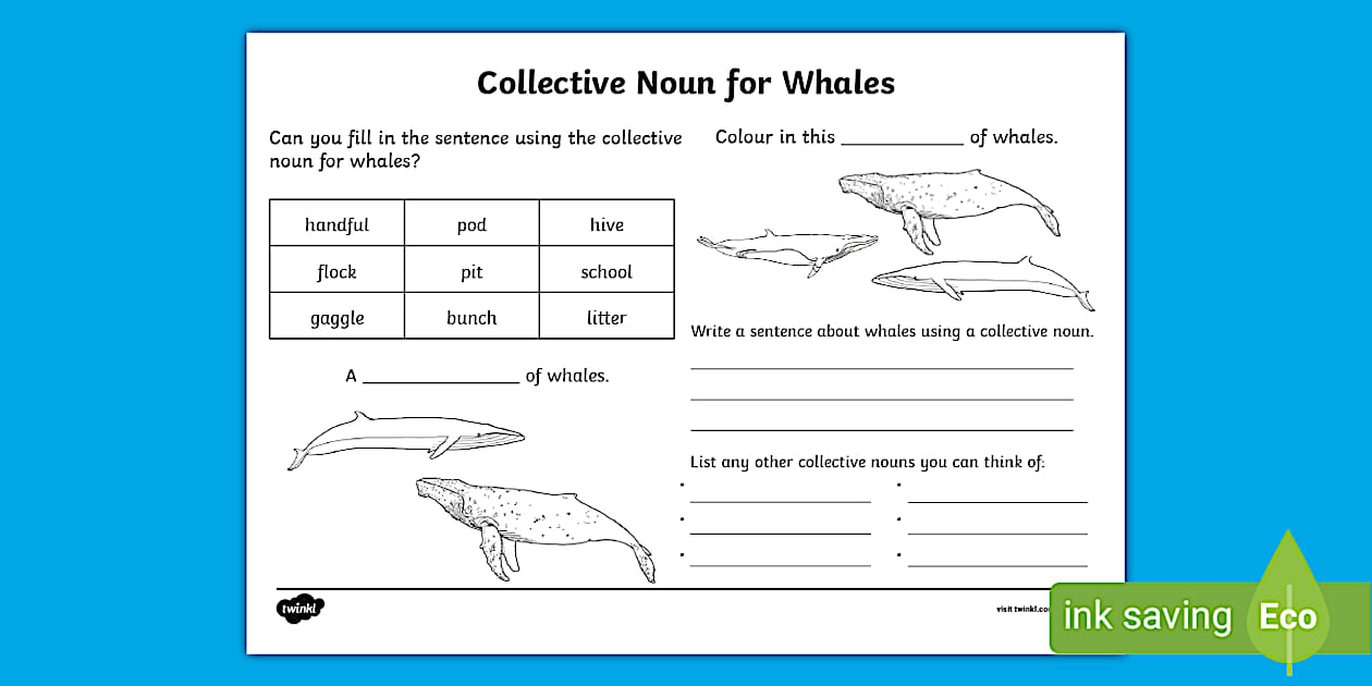 Collective Nouns - Whales Worksheet (teacher made) - Twinkl