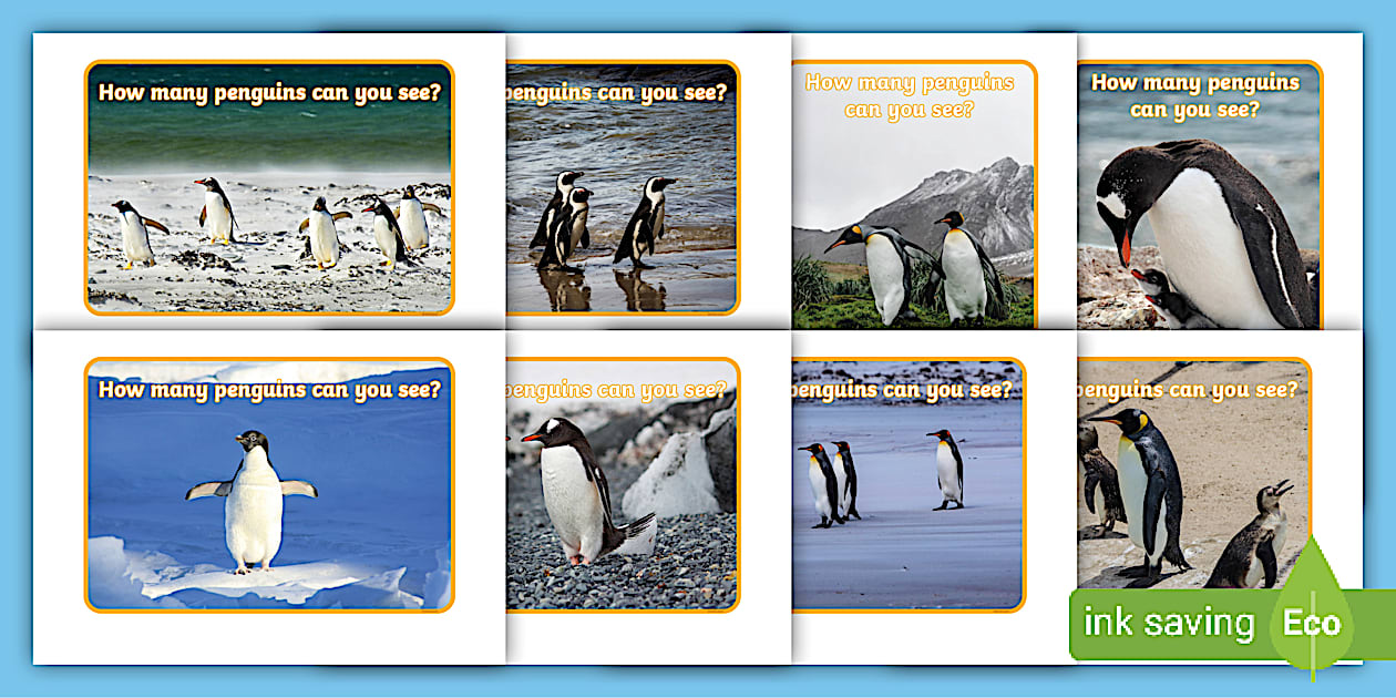 👉 Count the Penguins Display Photos (Teacher-Made)