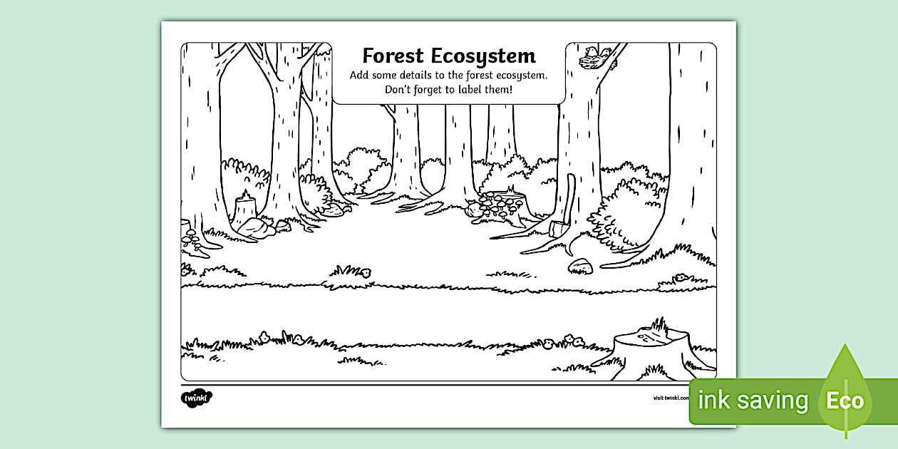 Draw the Forest Ecosystem Worksheet (teacher made) - Twinkl