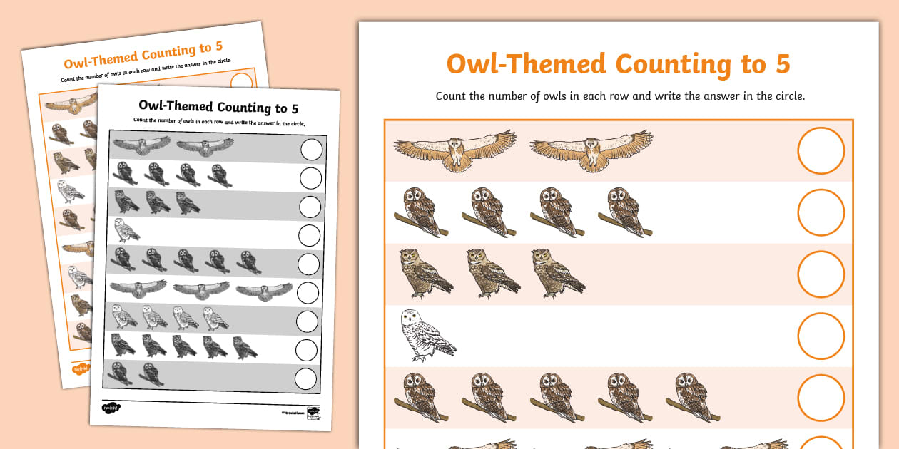 👉 Owl Themed Counting to 5 Worksheet - Twinkl