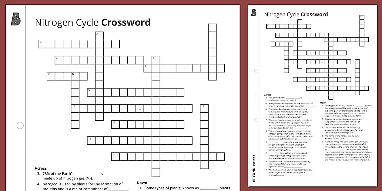 The Nitrogen Cycle Crossword (teacher made) - Twinkl