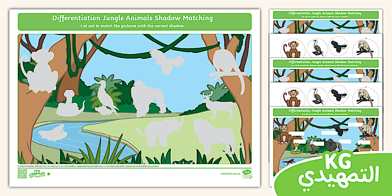 Differentiation Jungle Animals Shadow Matching - Twinkl