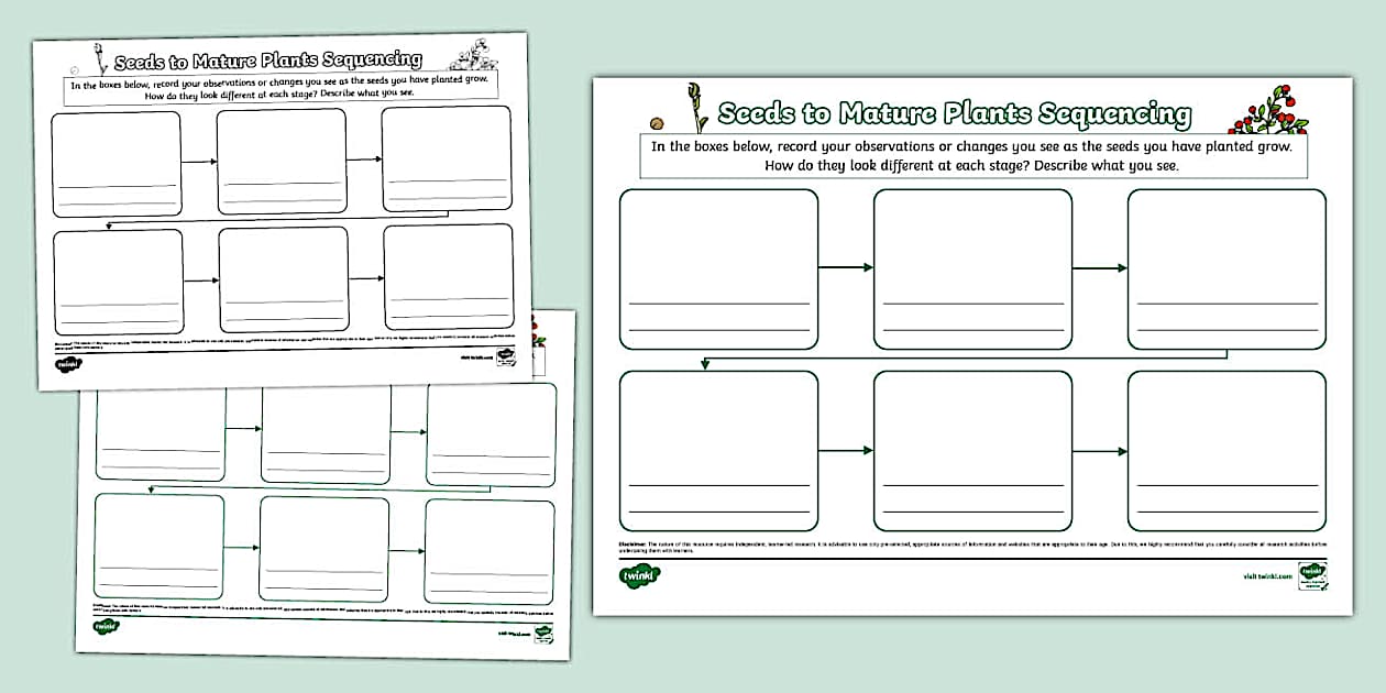 Seeds to Mature Plants Sequencing Mind Map - Twinkl