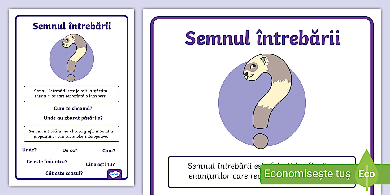 Semnul întrebării - Planșă - Resurse Twinkl România