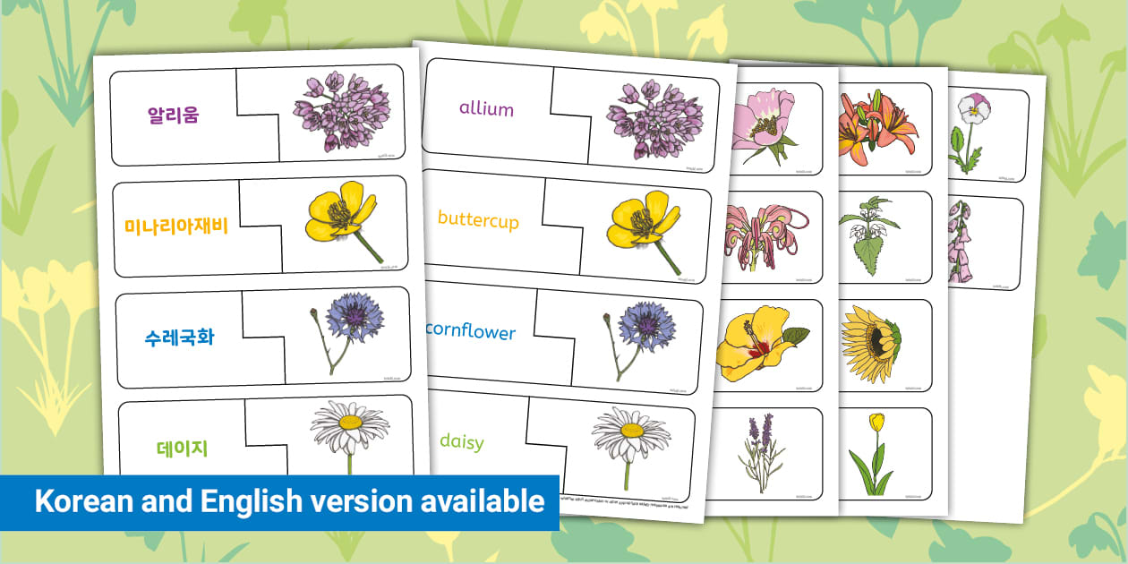 * NEW * 꽃 매칭 퍼즐 | Flower Matching Puzzle - Twinkl