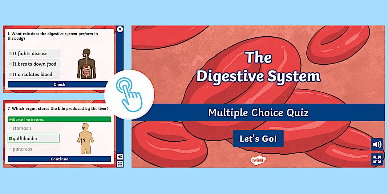 Interactive KS2 Digestive System Quiz | Twinkl Go! - Twinkl