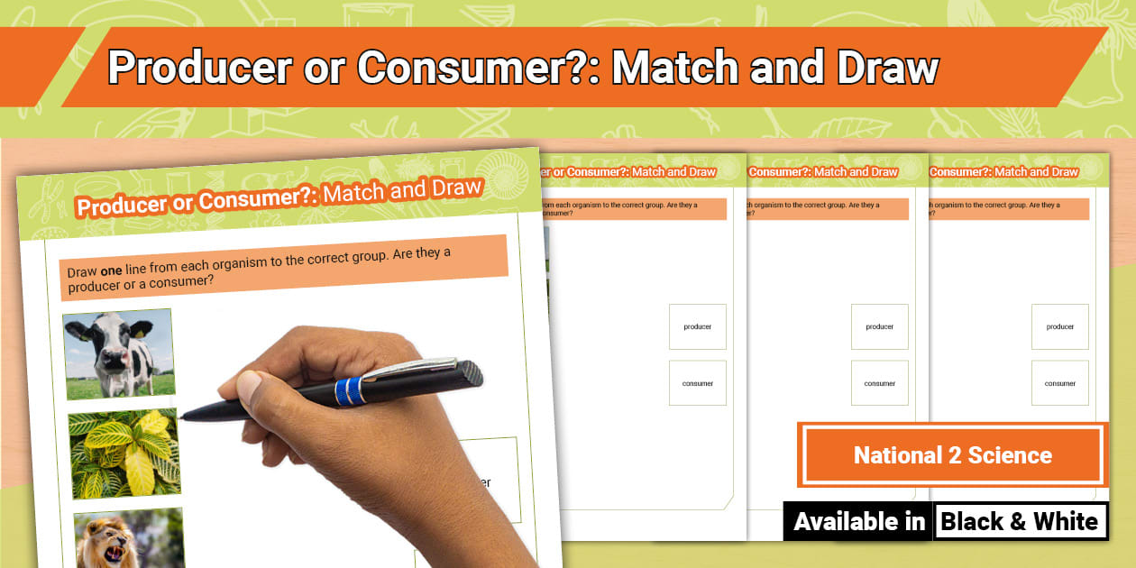 Producer or Consumer Match & Draw Activity