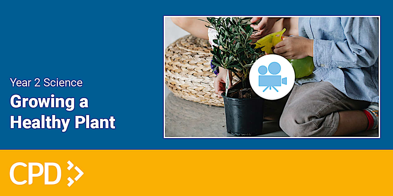 Teaching Growing a Healthy Plant in Year 2 Science Video CPD
