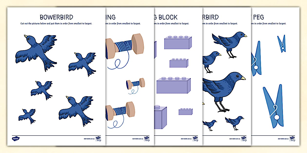 Ordering Activity to Support the Teaching of 'Bowerbird Blues'