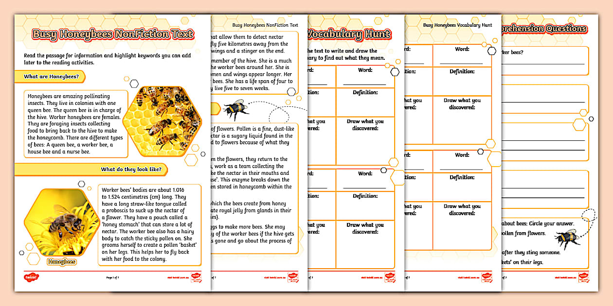 Busy Honeybees Reading Comprehension | Twinkl Australia