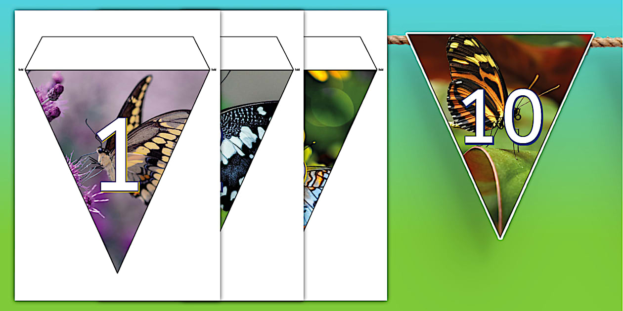 Butterfly Numbers 1-10 Photo Display Bunting (Teacher-Made)