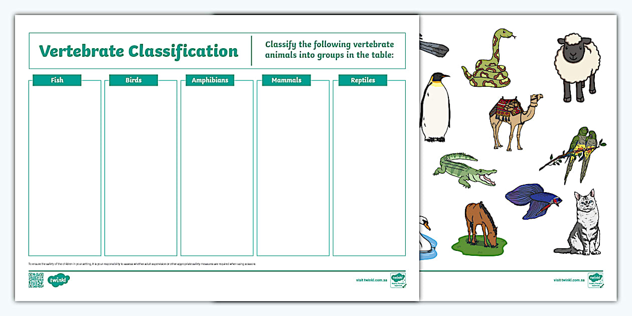 Vertebrate Classification Activity (Teacher-Made) - Twinkl