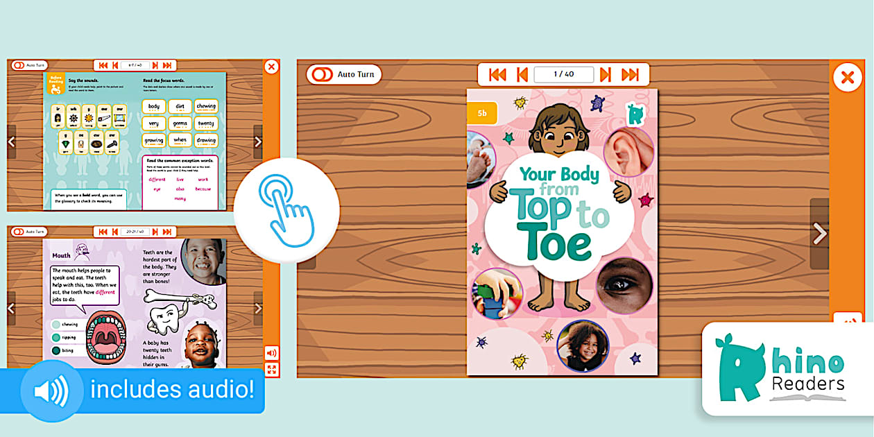 Level 5b Reading Scheme Book: Your Body from Top to Toe