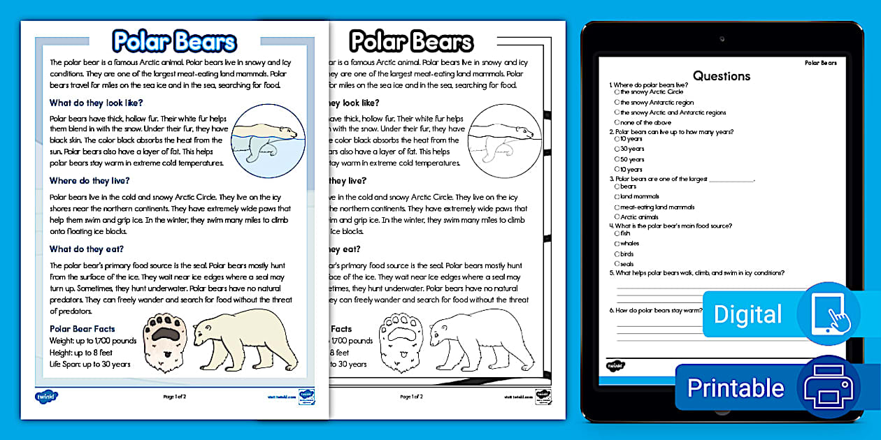 Second Grade Polar Bear Comprehension Worksheet - Twinkl