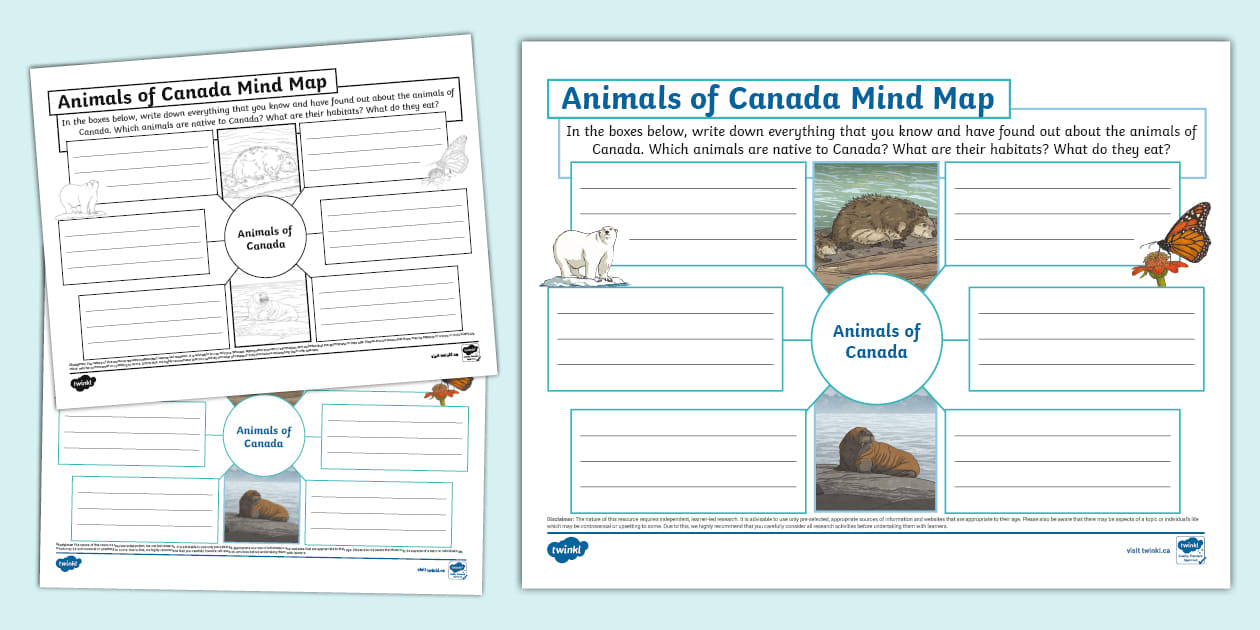 Animals of Canada Mind Map - Twinkl Mind Map