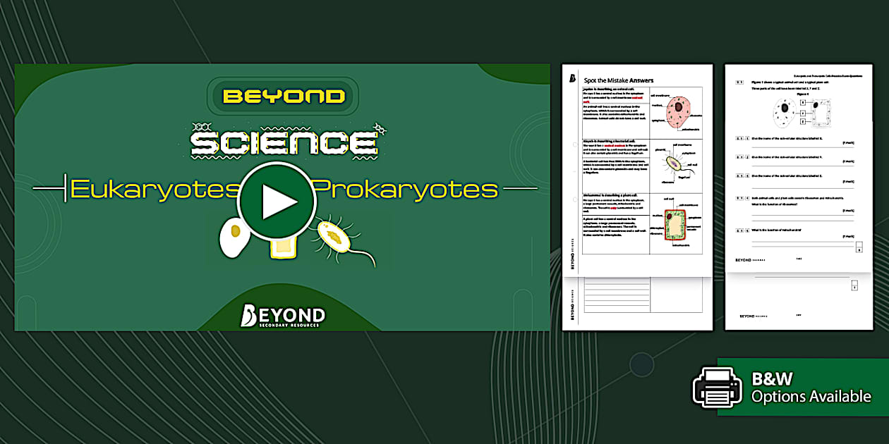 Eukaryotes and Prokaryotes Video and Resource Pack - Twinkl