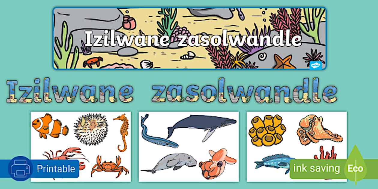 Izilwane Zasolwandle Isibonisi | Marine Animals Zulu Display
