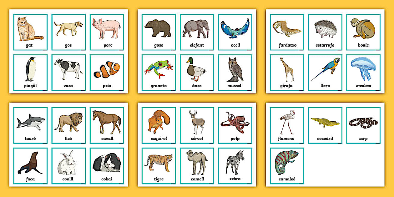 Targetes: Animals - Valencià (teacher made) - Twinkl