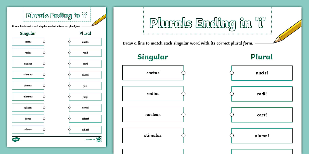 Plural of Words Ending in 'i': Matching Worksheet
