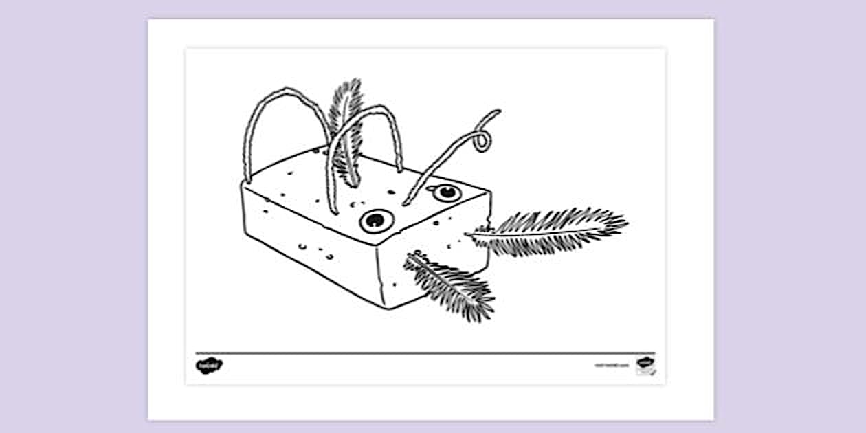 Stick Googly Eyes on Sponge Colouring Sheet | Twinkl