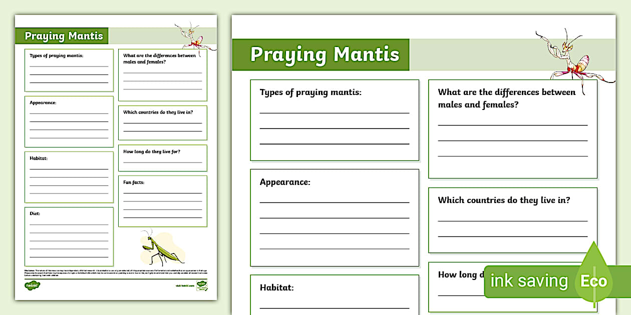 Praying Mantis Fact File Template (teacher made) - Twinkl