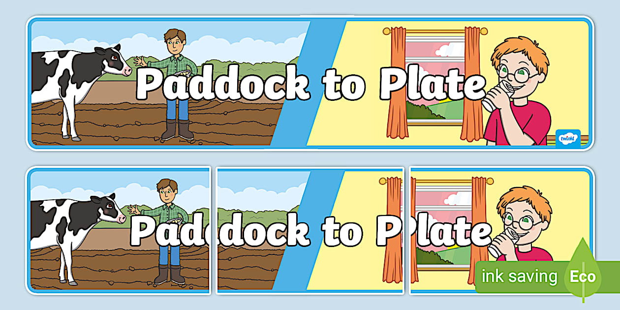 Paddock to Plate Display Banner | World Food Day - Twinkl