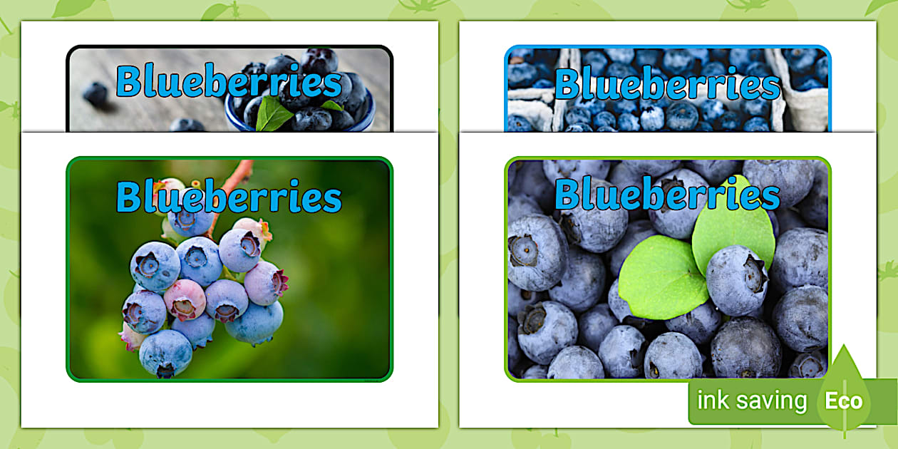 Blueberries Photo Pack (Teacher-Made) - Twinkl