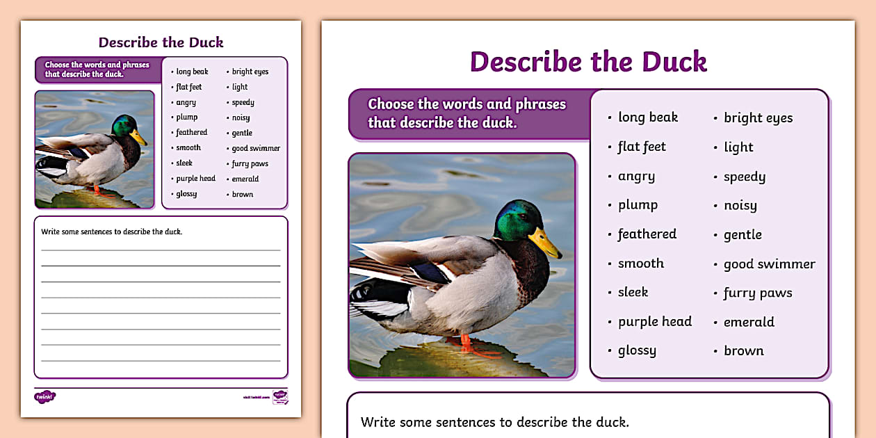 Describe the Duck Writing Worksheet (Teacher-Made) - Twinkl