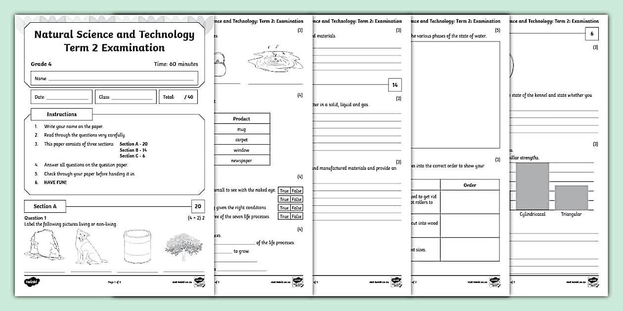 Grade 4 Natural Science and Technology Term 2: Examination
