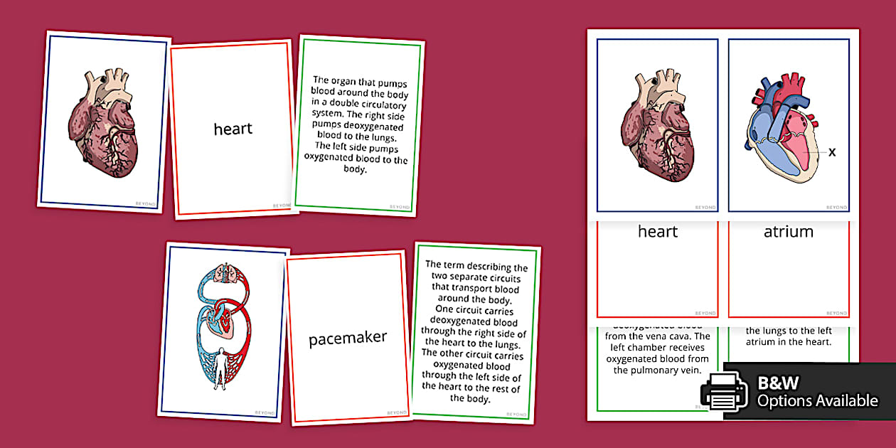 The Heart Find a Friend (teacher made) - Twinkl