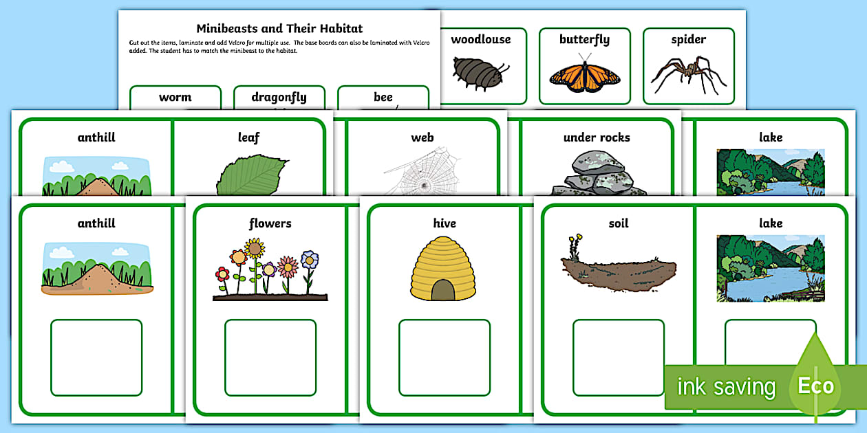 Workstation Pack Minibeasts and their Habitat Matching Activity Pack