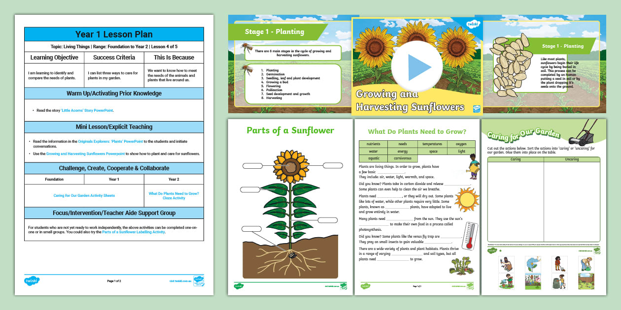 Year 1 Inclusion Living Things Differentiated Lesson Plan 4