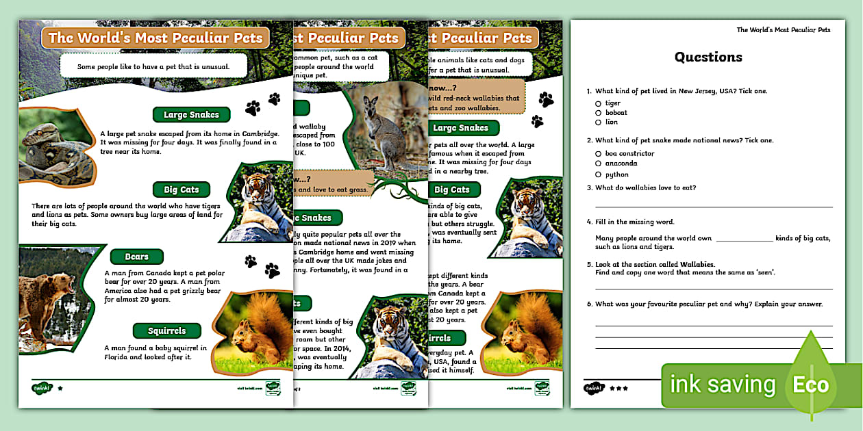 KS1 Peculiar Pets Reading Comprehension | Twinkl - Twinkl