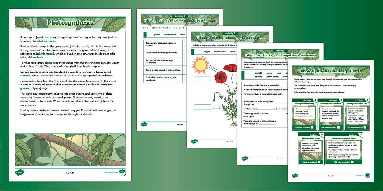 Photosynthesis Fill in the Blanks Activities (teacher made)