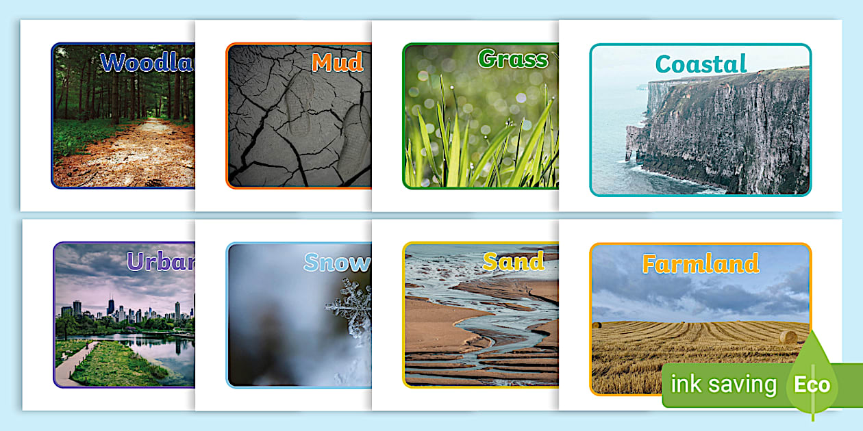 Habitat Type Photo Pack (Teacher-Made) - Twinkl