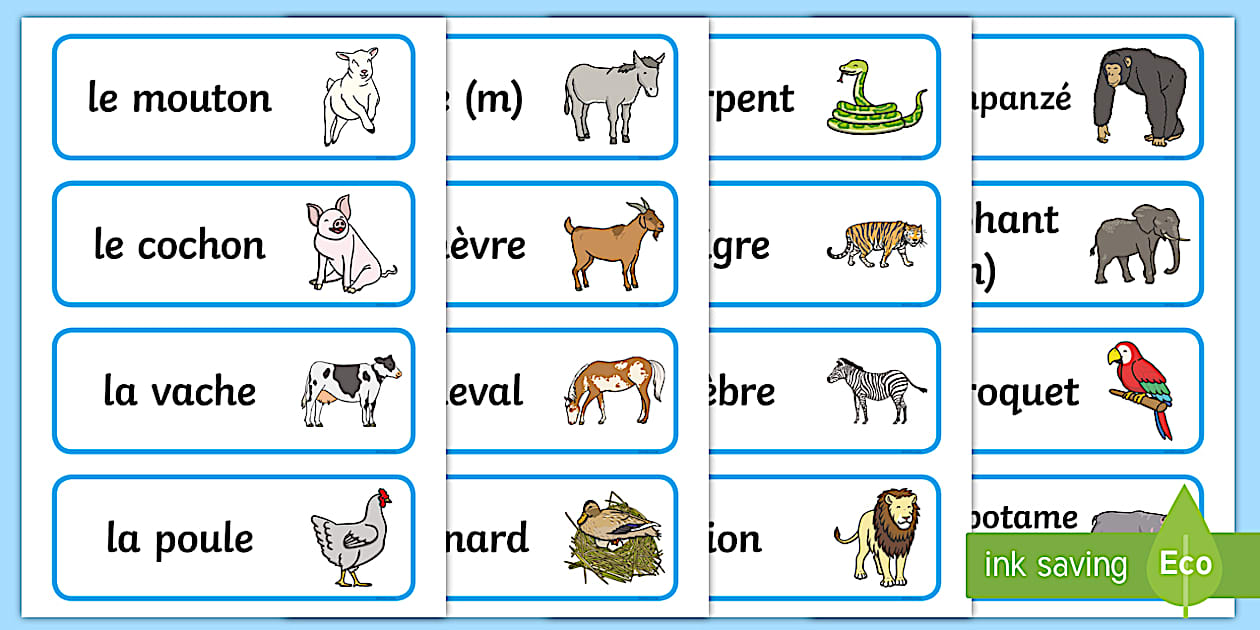 Black and White French Animal Word Cards - Twinkl