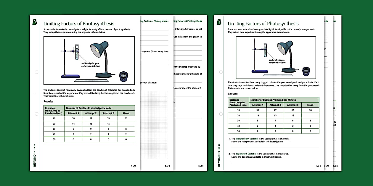 Limiting Factors of Photosynthesis Worksheet | Beyond