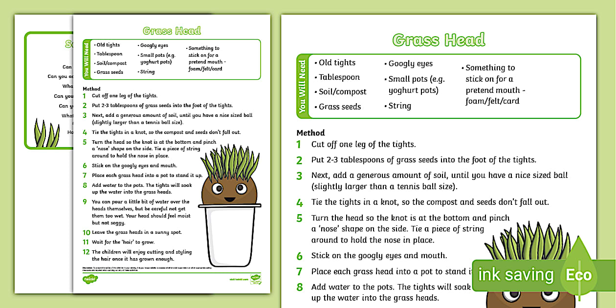 Cursive Grass Head Science Experiment (teacher made)
