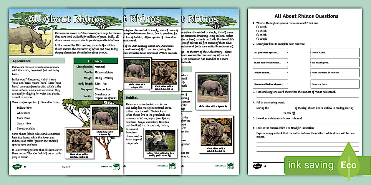 UKS2 All About Rhinos Differentiated Reading Comprehension