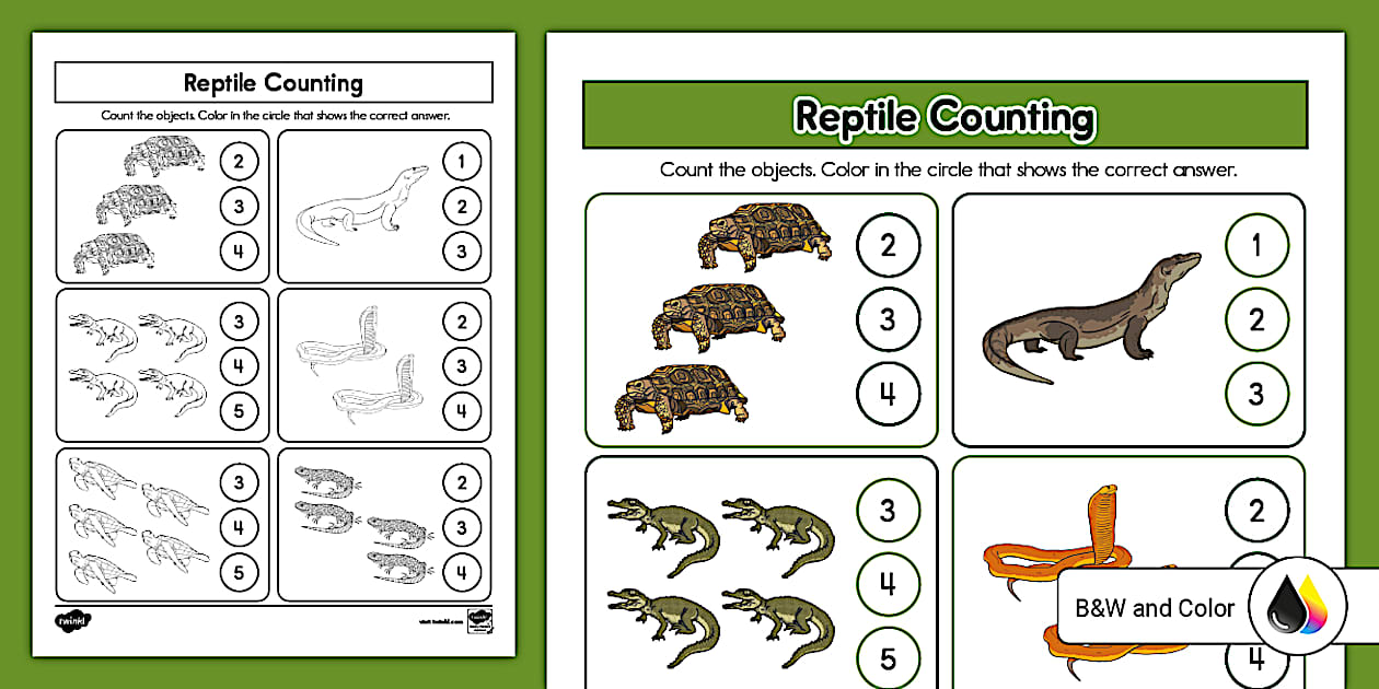 Reptile Counting to Five Worksheet (professor feito)