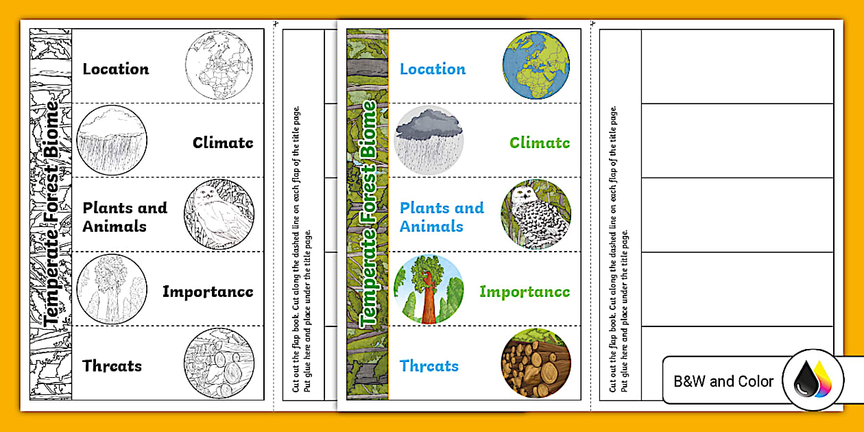 Temperate Forest Biome Flap Book for 3rd-5th Grade - Twinkl