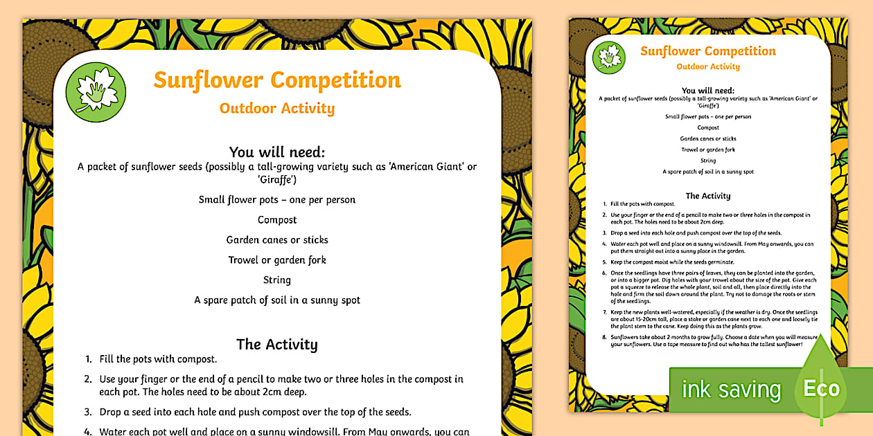 Sunflower Competition Activity Sheet