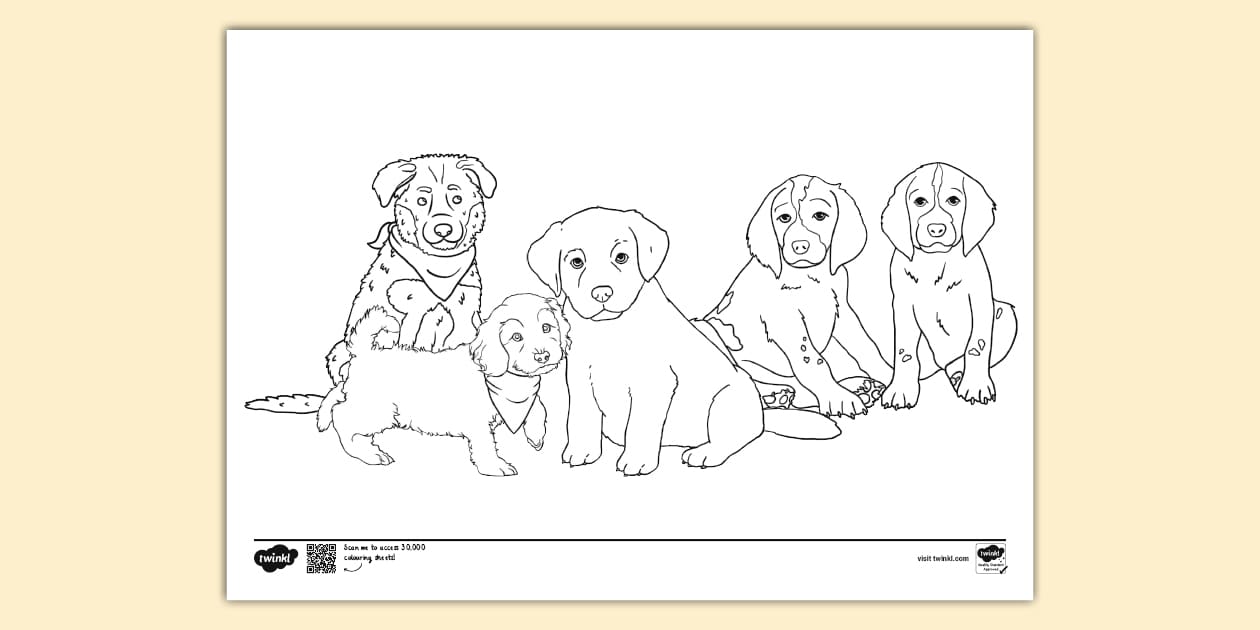 5 Puppies Colouring | Colouring Sheets (Teacher-Made)
