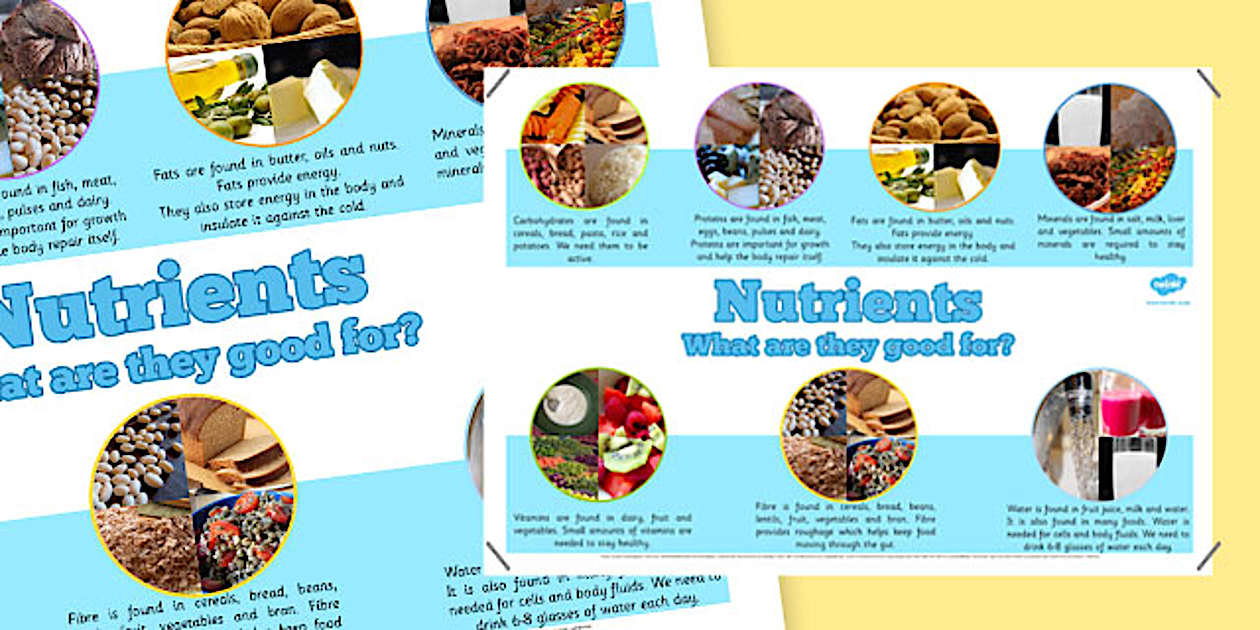 All Nutrients Display Poster (teacher made) - Twinkl