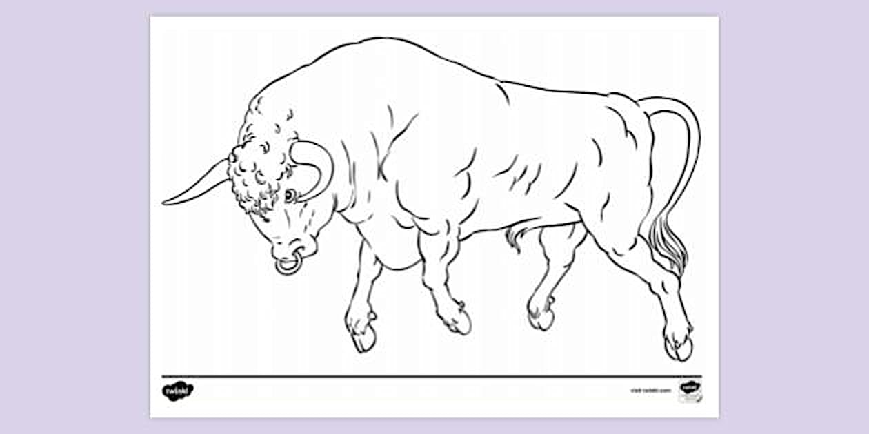 Bull Colouring Page | Colouring Sheets - Twinkl