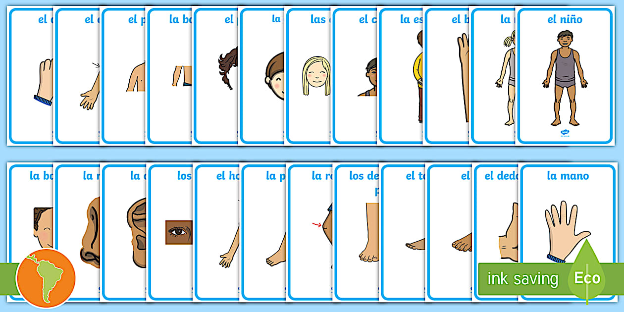 Pósters: Las partes del cuerpo (teacher made) - Twinkl