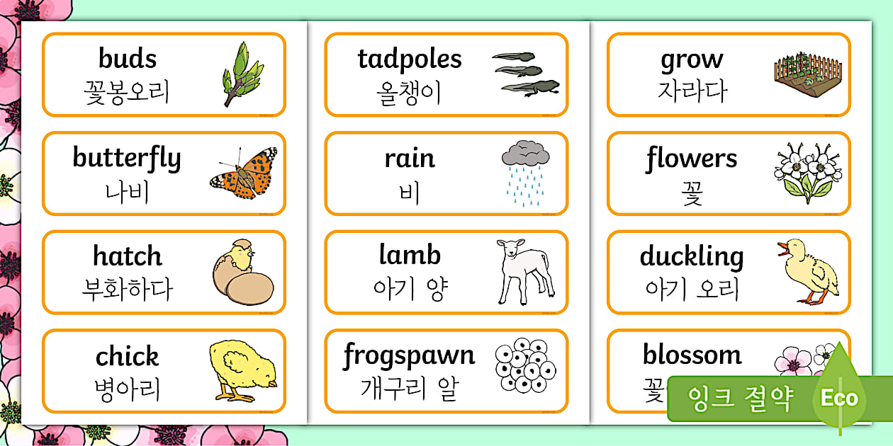봄 단어 카드 Spring Word Cards (teacher made) - Twinkl