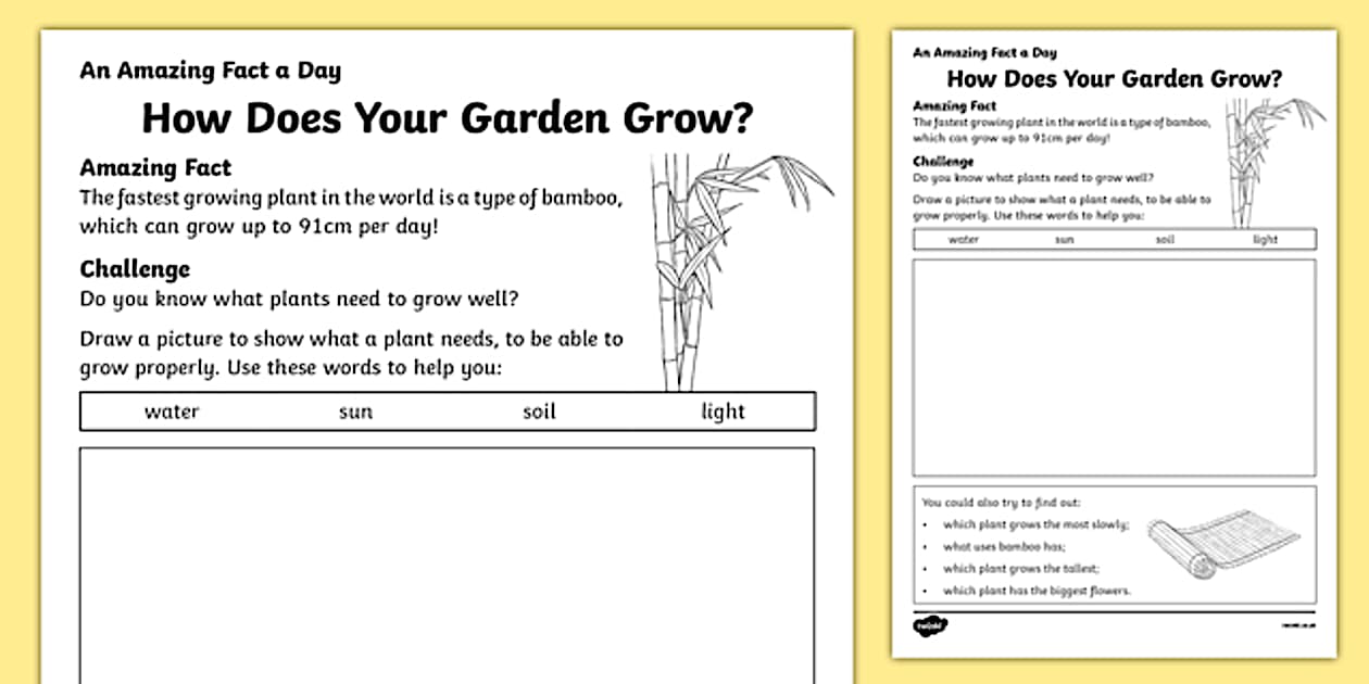 Editable How Does Your Garden Grow? Worksheet - Twinkl